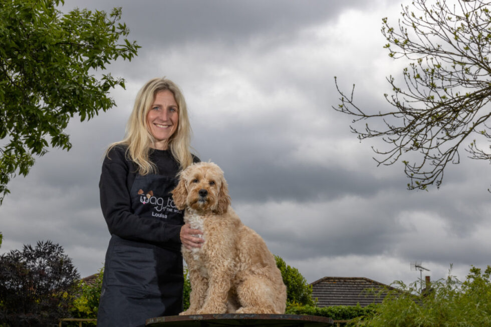 About | WagTails of The Wolds - Dog Grooming & Walking - Driffield ...